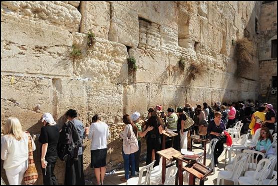 AJMM | Alianza de Judíos Mesiánicos de México